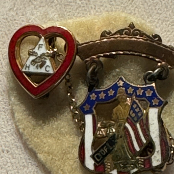 Jewelry | Women Of The Moose Pins Vintage Dol Collectors | Poshmark